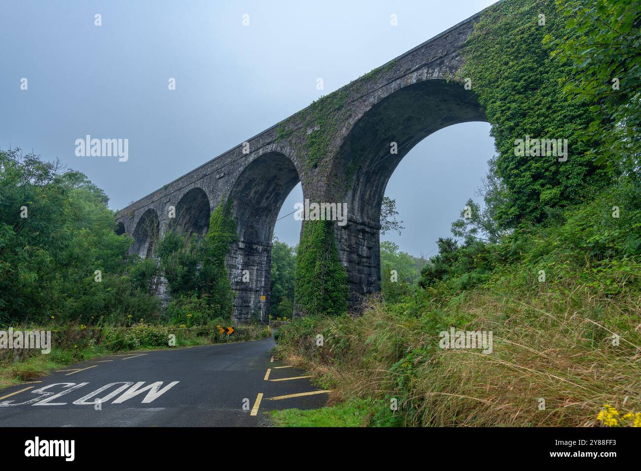 Durrow Viaduct Near Waterford, Ireland – Historic Stone Railway Bridge ...