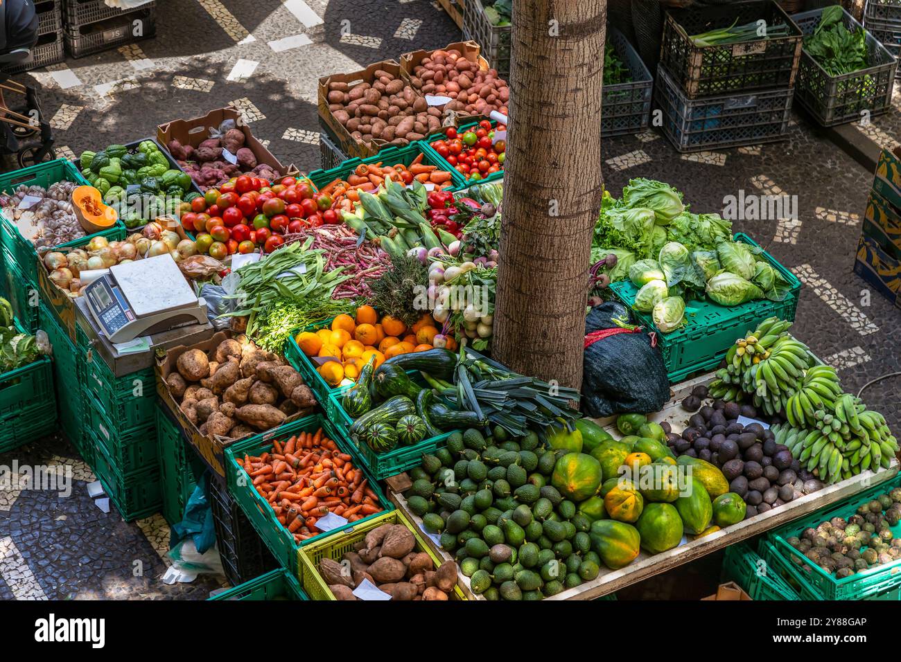 Fresh fruits and vegetables at the famous market - Mercado dos ...