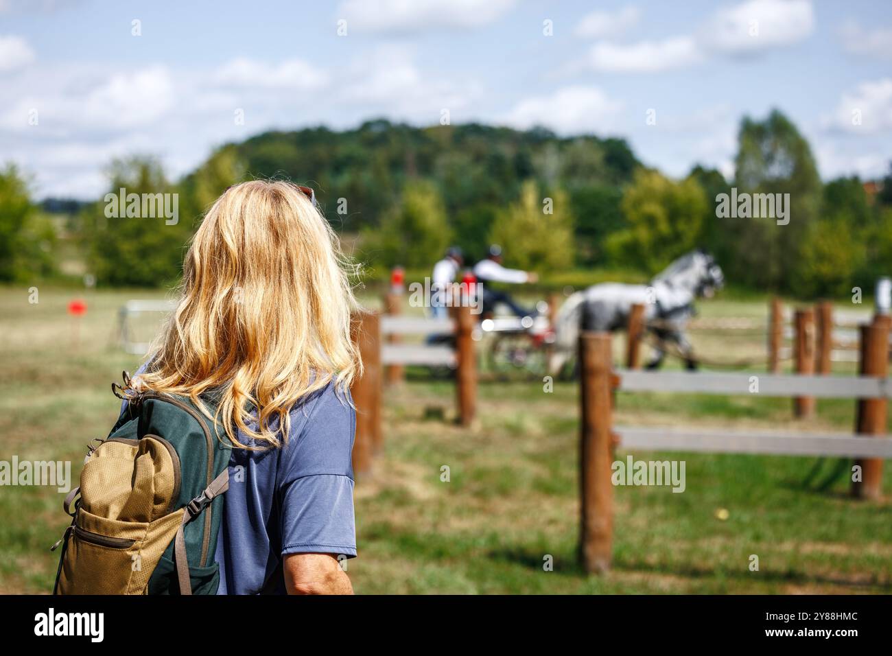 Woman spectator watching horse driving trials competition. Two white ...