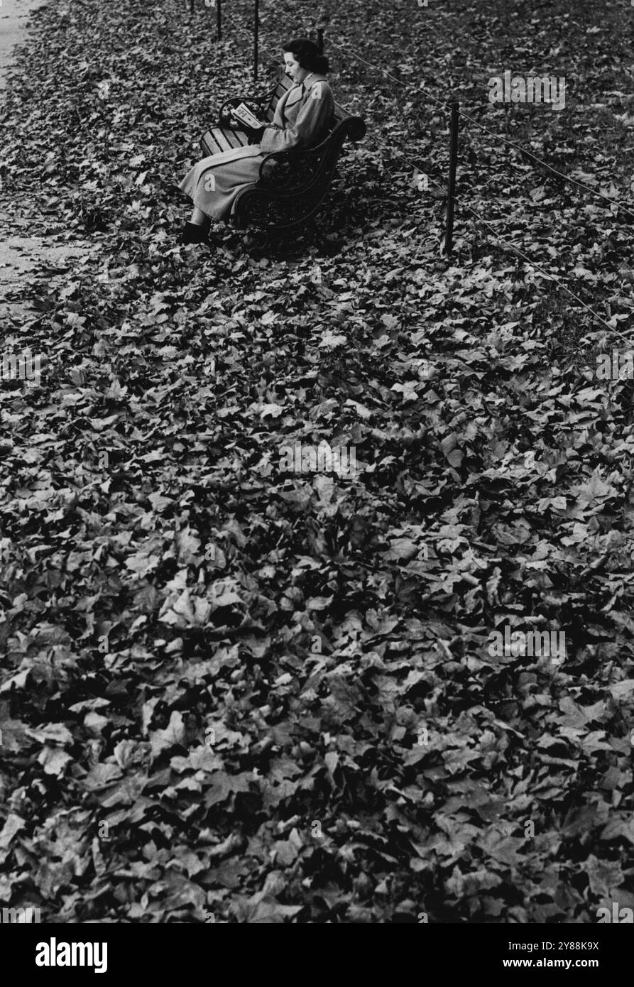 Miss ruth miller hi-res stock photography and images - Alamy