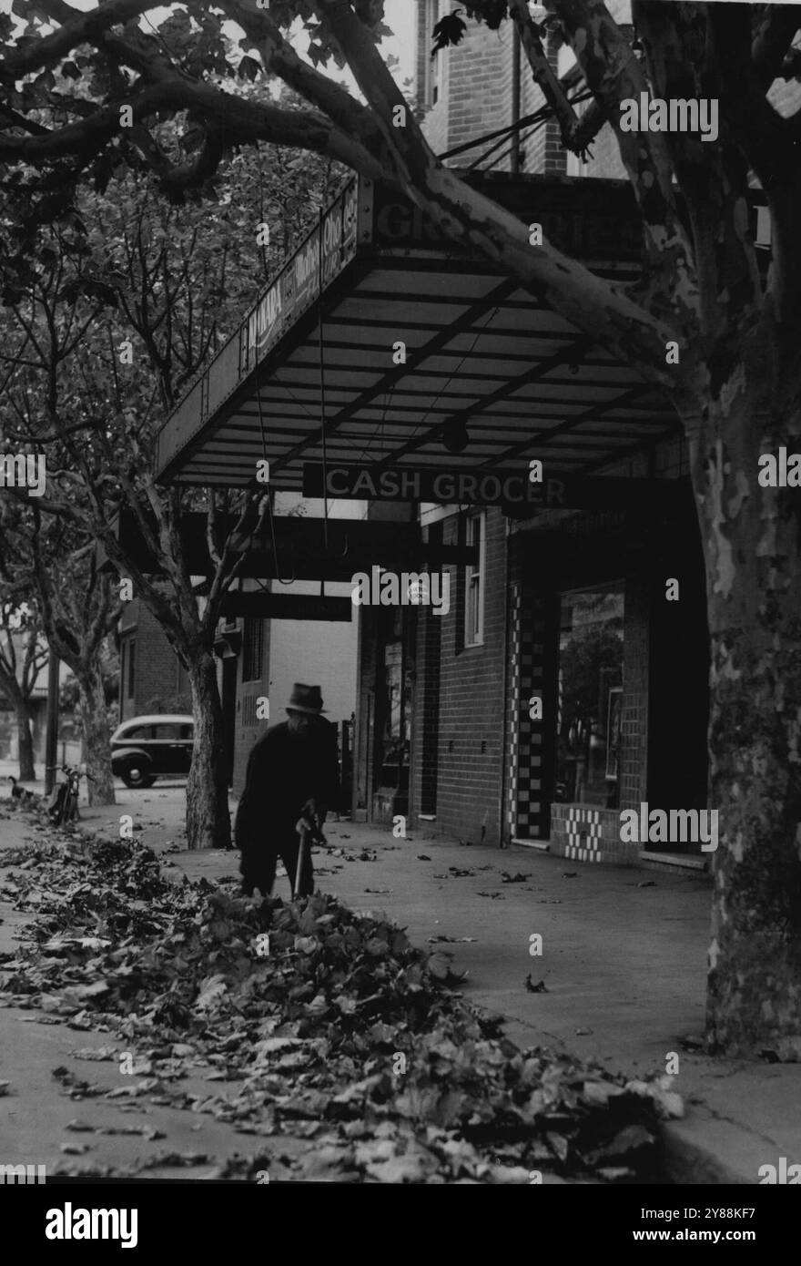 Autumn Leaves falling. June 6, 1938 Stock Photo - Alamy
