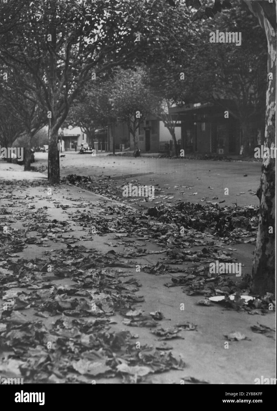 Autumn - Weather. June 07, 1938 Stock Photo - Alamy