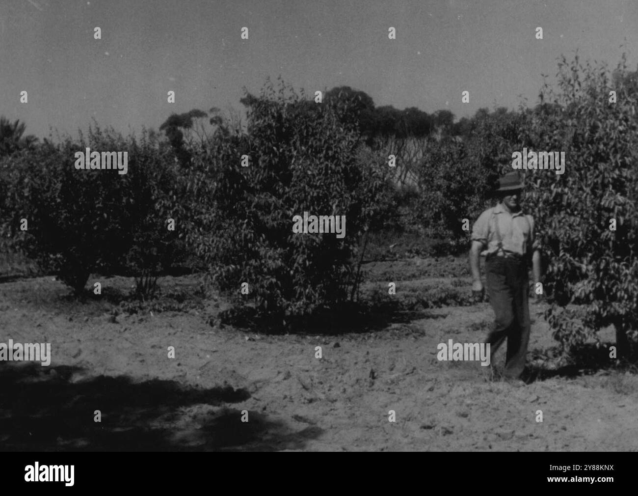 Droughts (See also Droughts Scenes England) - Weather. November 27 ...