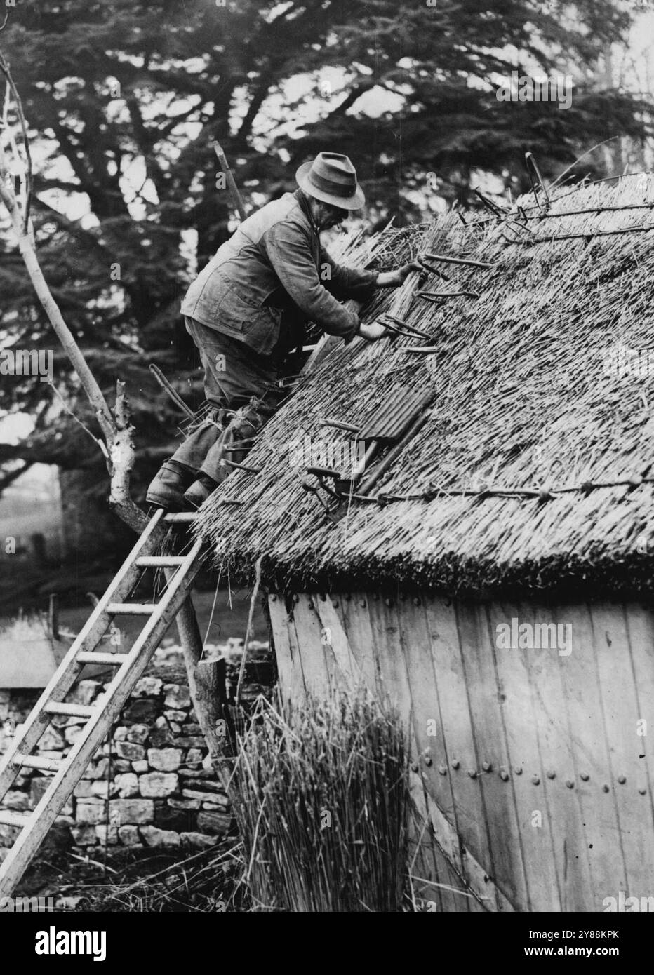 Fifty Years A Thatcher -- Mr. Jones at work Thatching a barn at ...