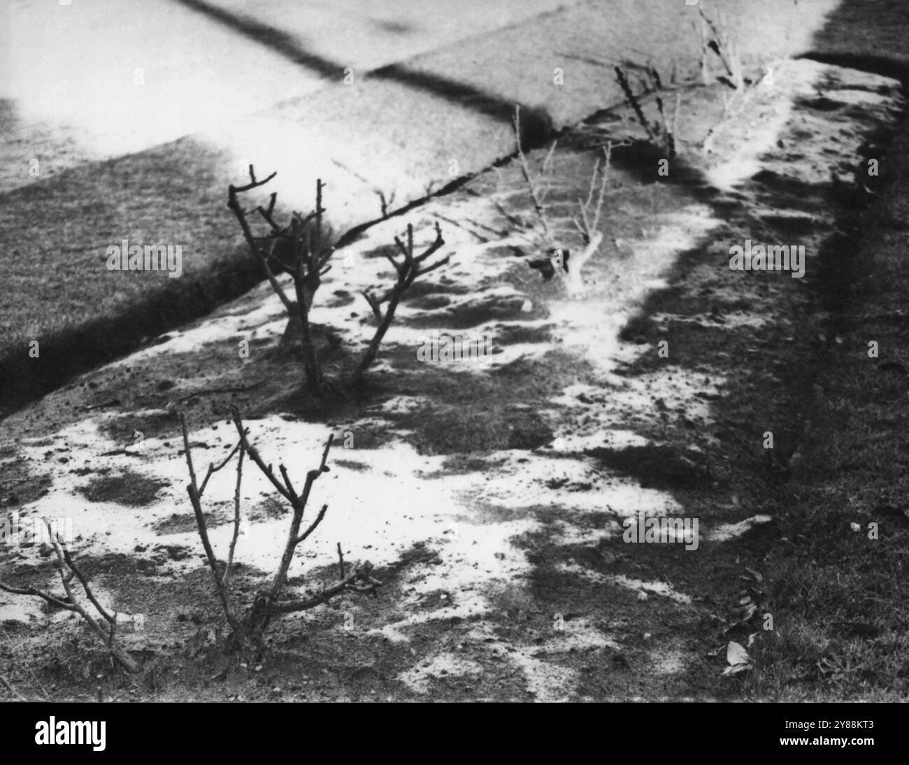 Picture of frost Black and White Stock Photos & Images - Alamy