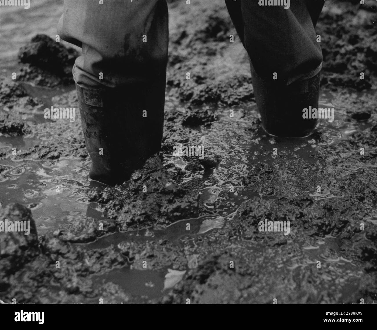 Mud. Even the walking is hard going when mud on the tracks is as deep ...