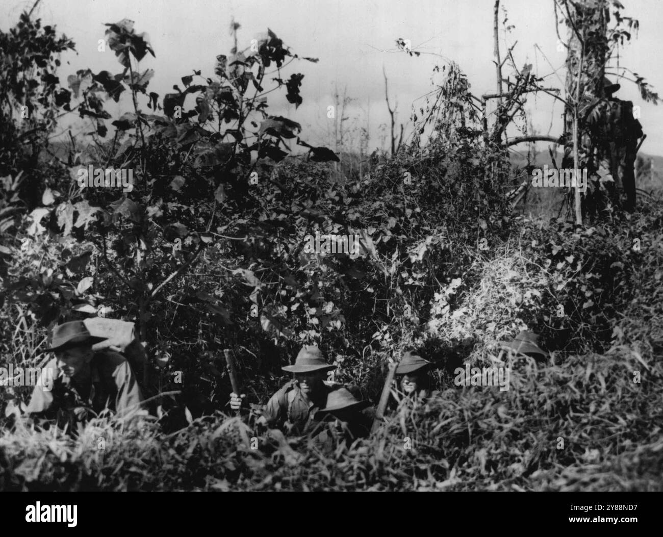Infantry of the 6th Division preparing to move forward against an enemy ...