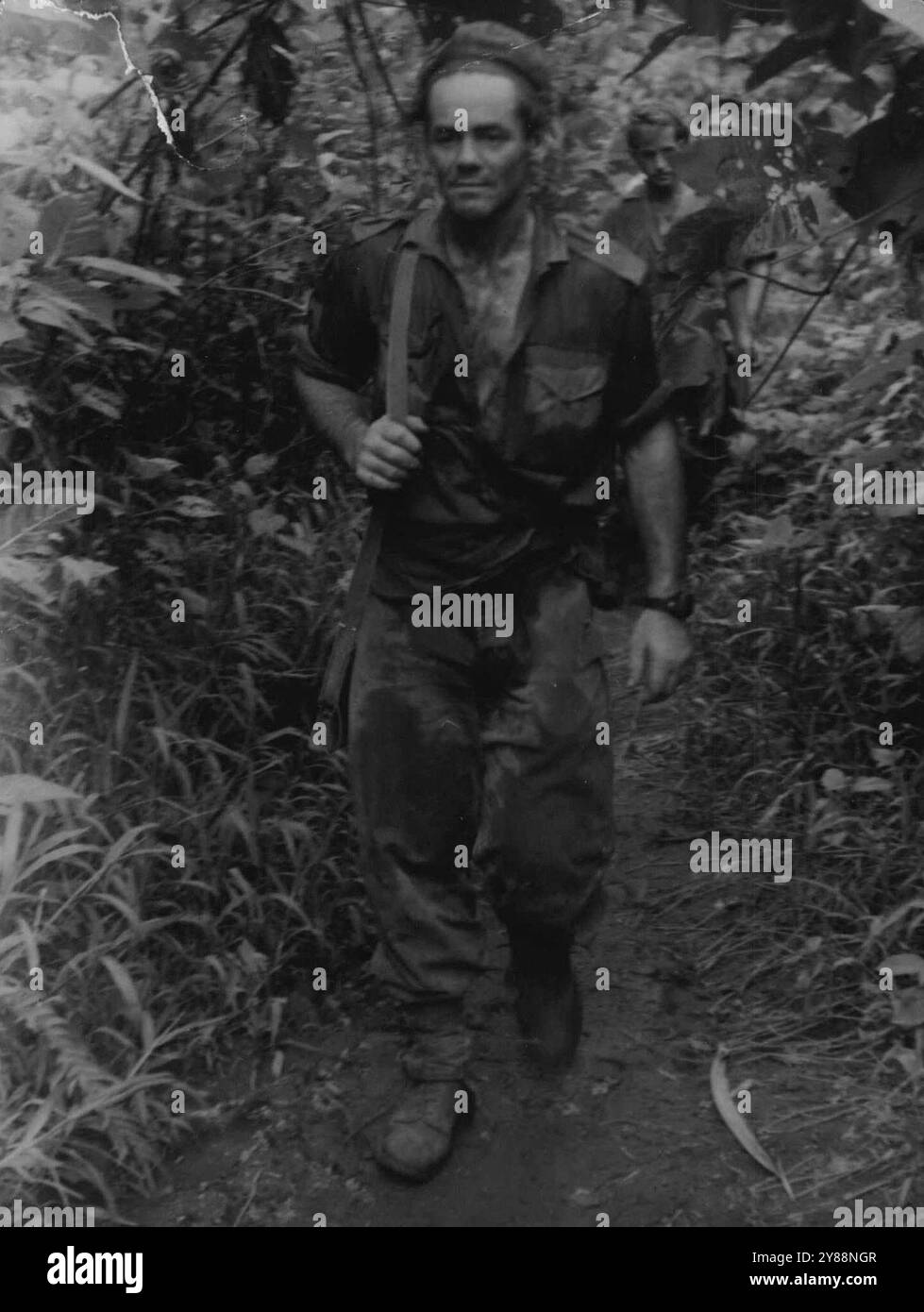 An Australian sergeant returning to headquarters along a jungle track ...