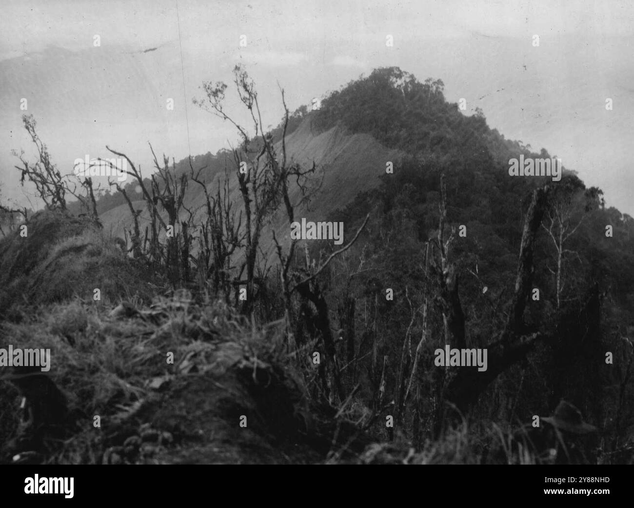 The razorback of the Pimple with Australian troops digging in. In the ...