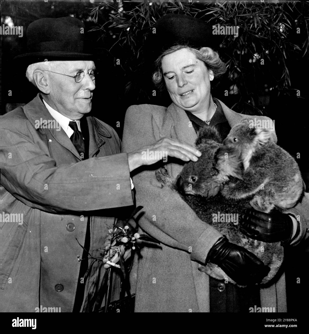 Lady addison hi-res stock photography and images - Alamy