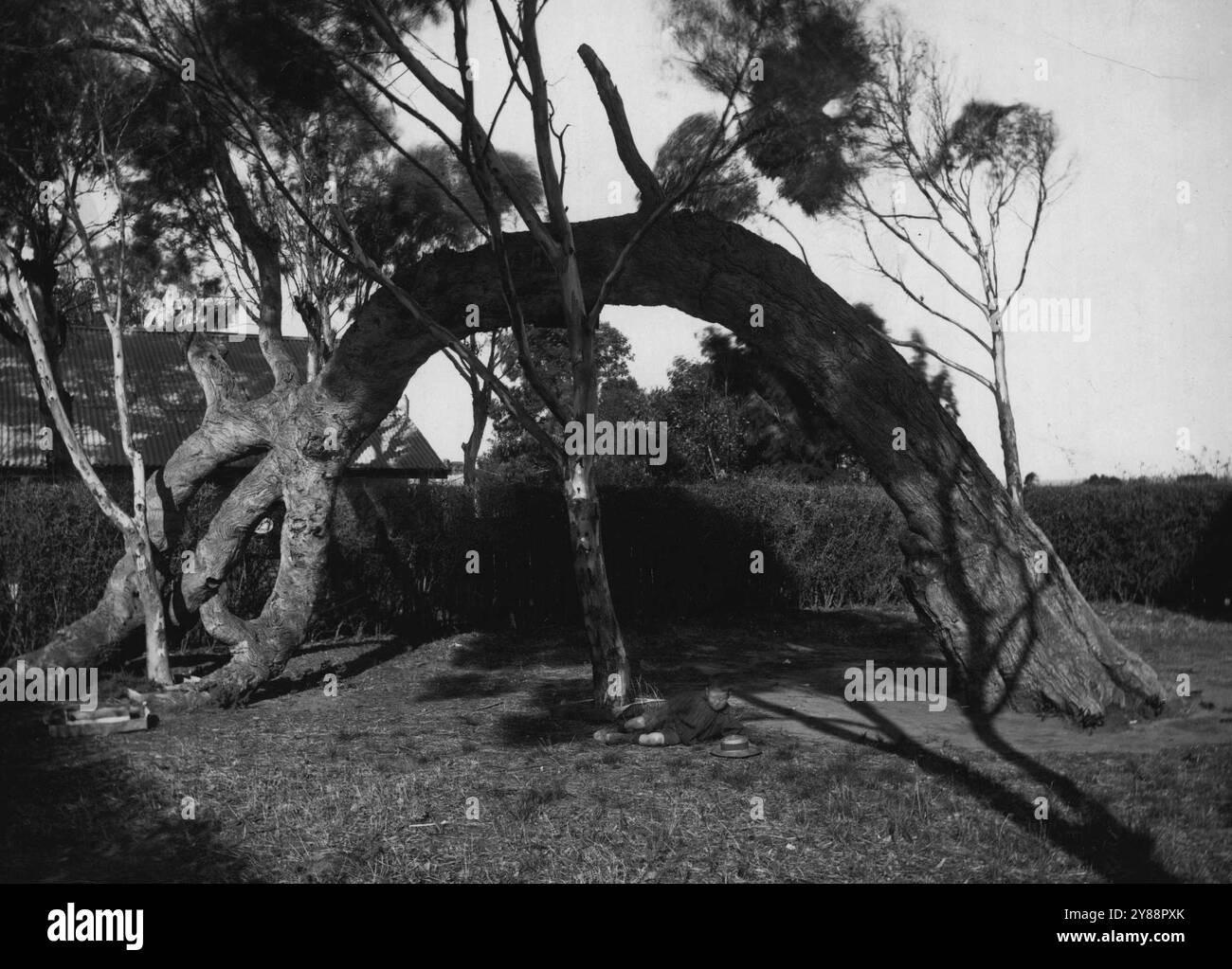 Which read Black and White Stock Photos & Images - Alamy