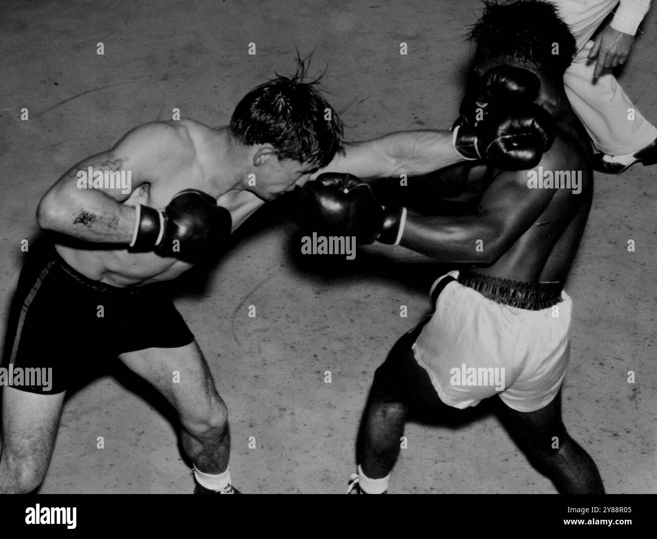 Carmen basilio hi-res stock photography and images - Alamy
