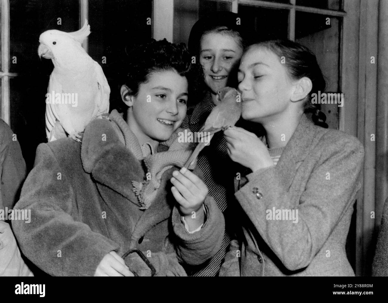 'Conducted' Tour At The Zoo -- Roberto Benzi with "Scatty" the cockatoo ...
