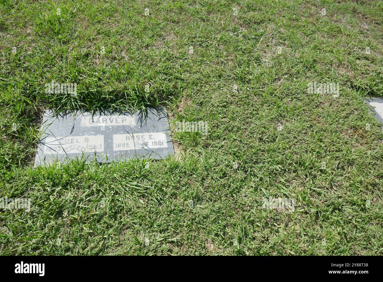 Anaheim, California, USA 2nd October 2024 Actor Robin Hughes unmarked ...