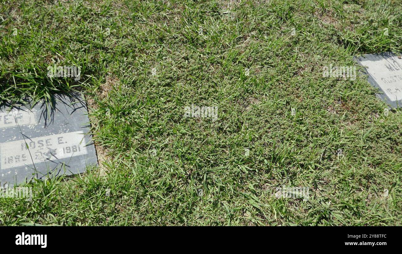 Anaheim, California, USA 2nd October 2024 Actor Robin Hughes unmarked ...