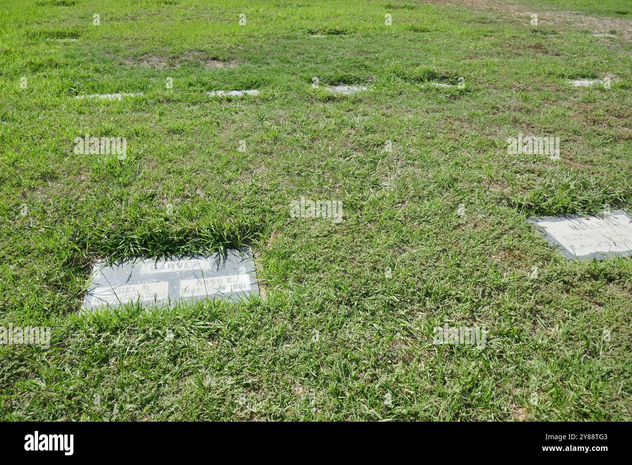 Anaheim, California, USA 2nd October 2024 Actor Robin Hughes unmarked ...
