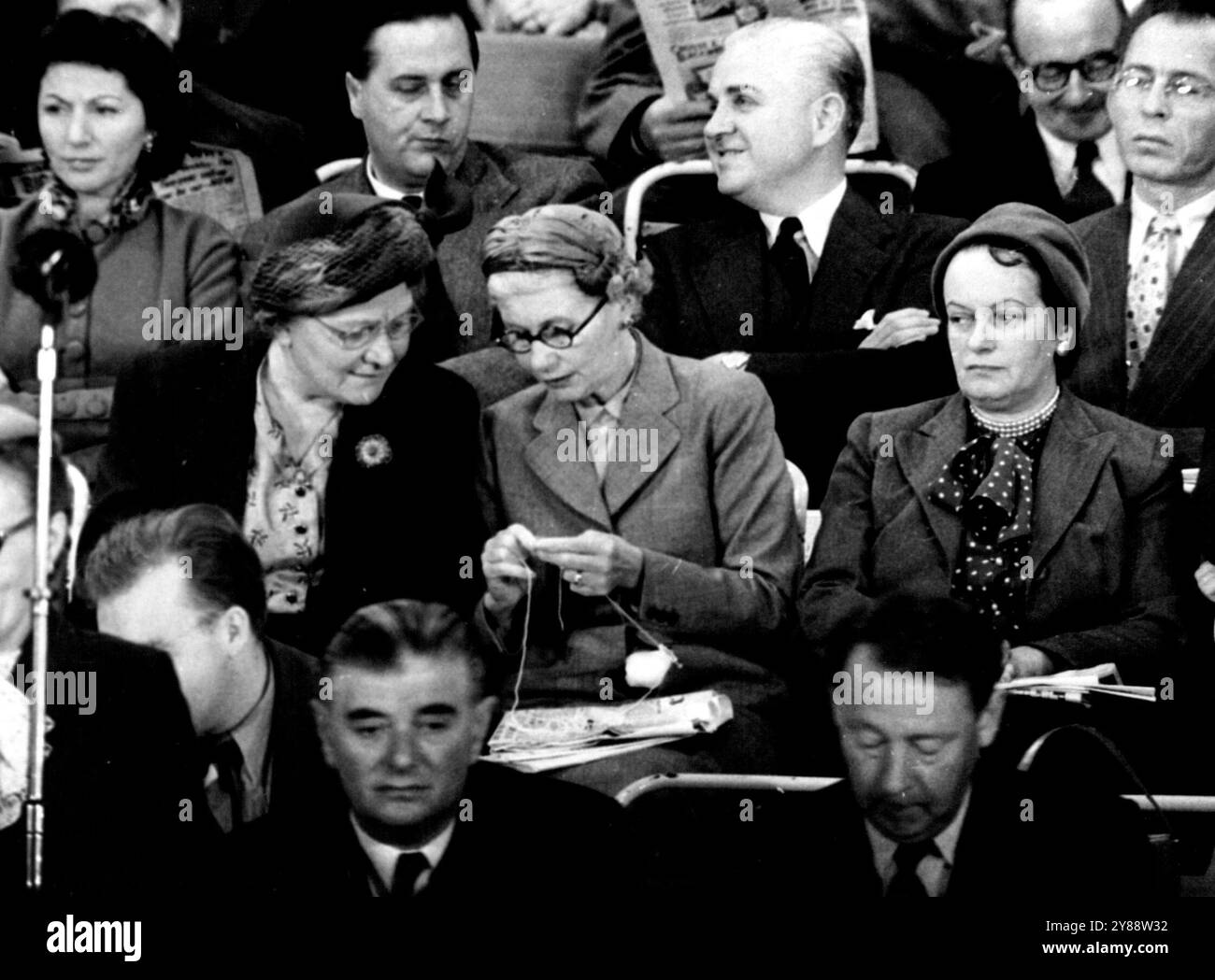 J finch Black and White Stock Photos & Images - Alamy