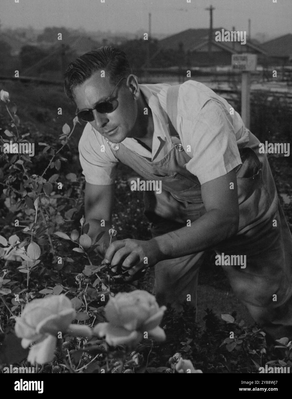 Blind Soldiers Airmen - War File. August 04, 1952 Stock Photo - Alamy