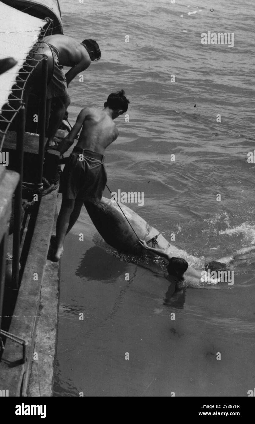 Military- Australia - Darwin, Bombing and damage. February 26, 1945 ...