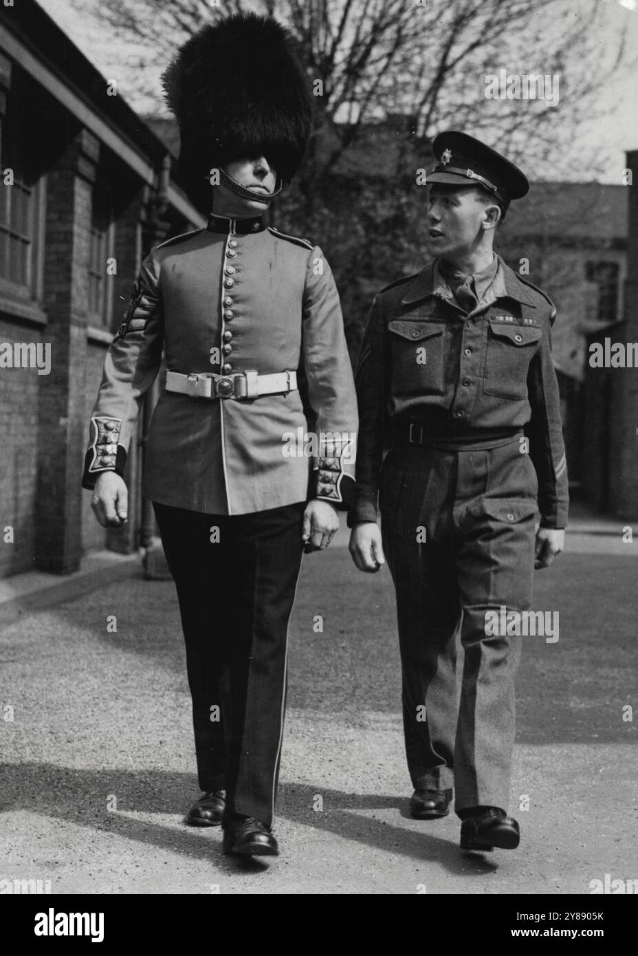 Full Dress Again For The Guards -- Guardsman L. Cook of the Coldstream ...