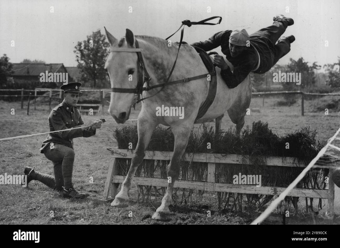 Animal Corps Acrobat -- Holding tightly to hoops of a belt encircling ...