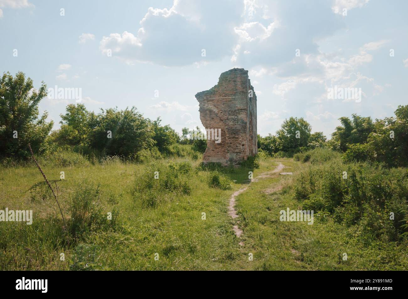 Ruins ancient tower amidst hi-res stock photography and images - Alamy