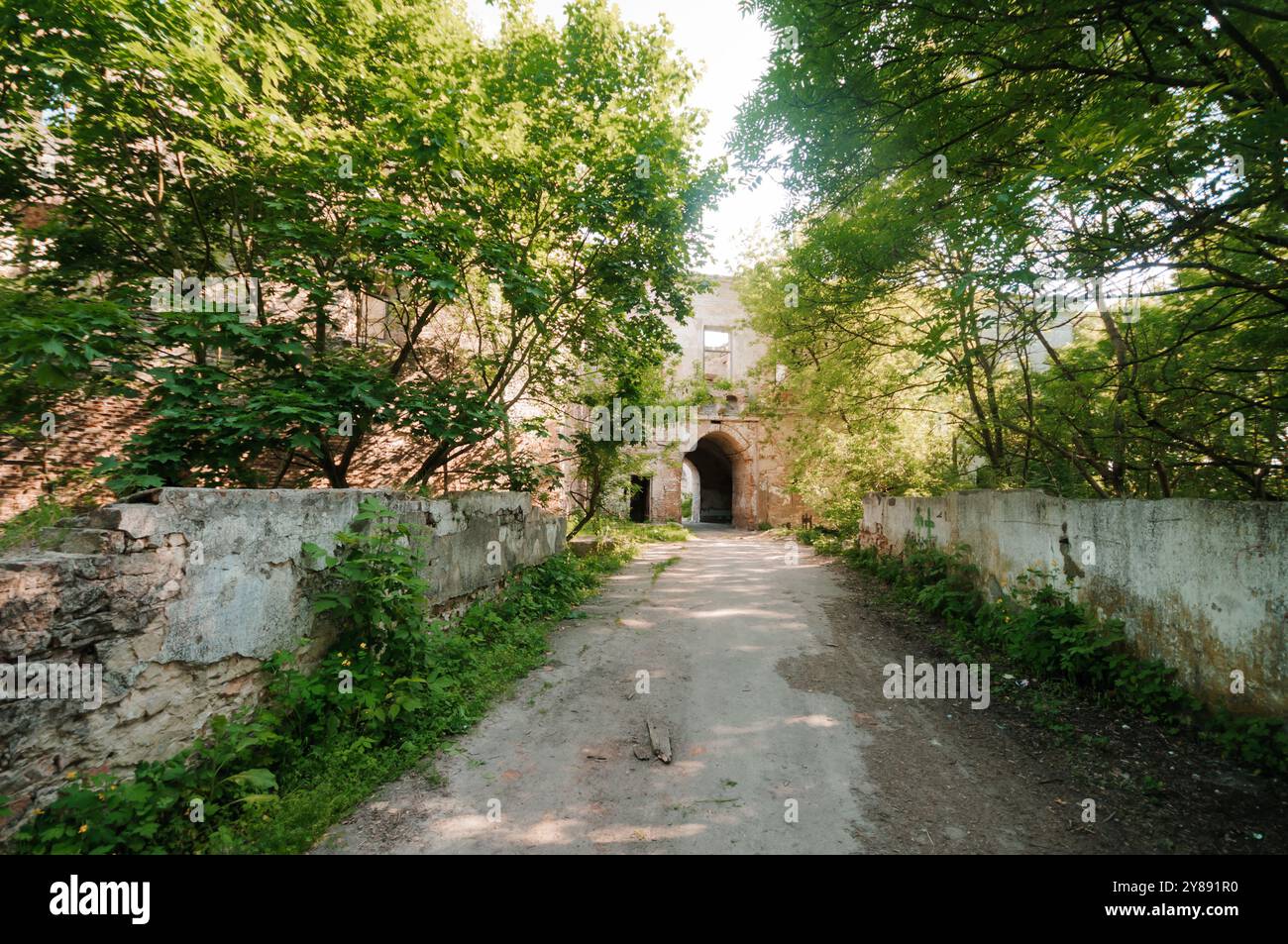 Enchanted Pathway Through Ruins Surrounded by Lush Greenery Stock Photo ...