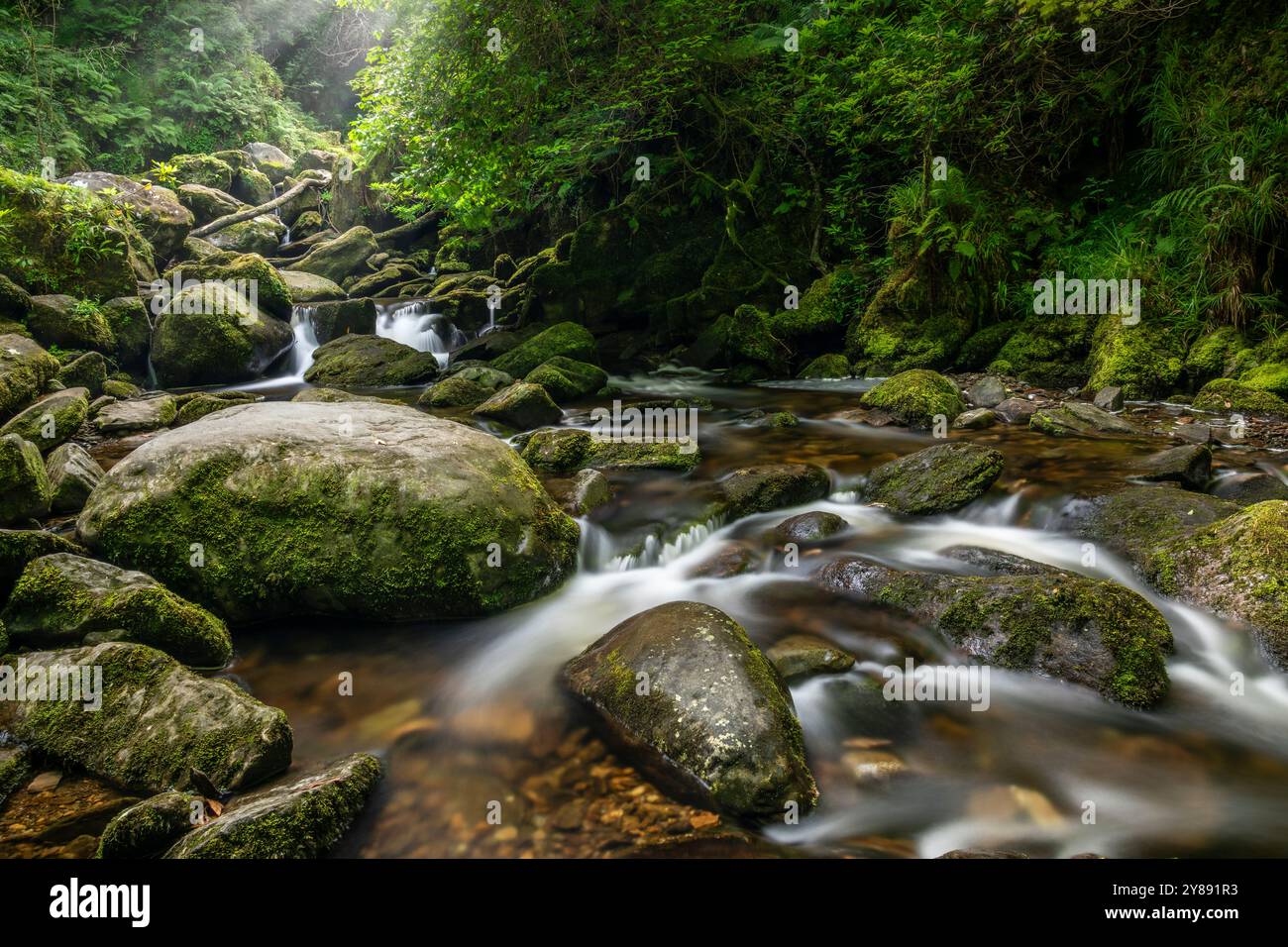 Torc Waterfall Surrounded by Lush Greenery in County Kerry Stock Photo ...