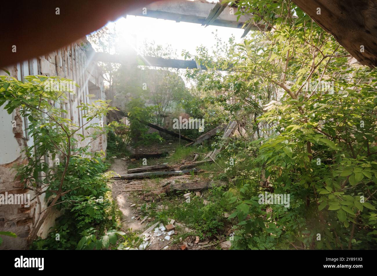 A Forgotten Sanctuary: Nature Reclaims an Abandoned Structure Stock ...