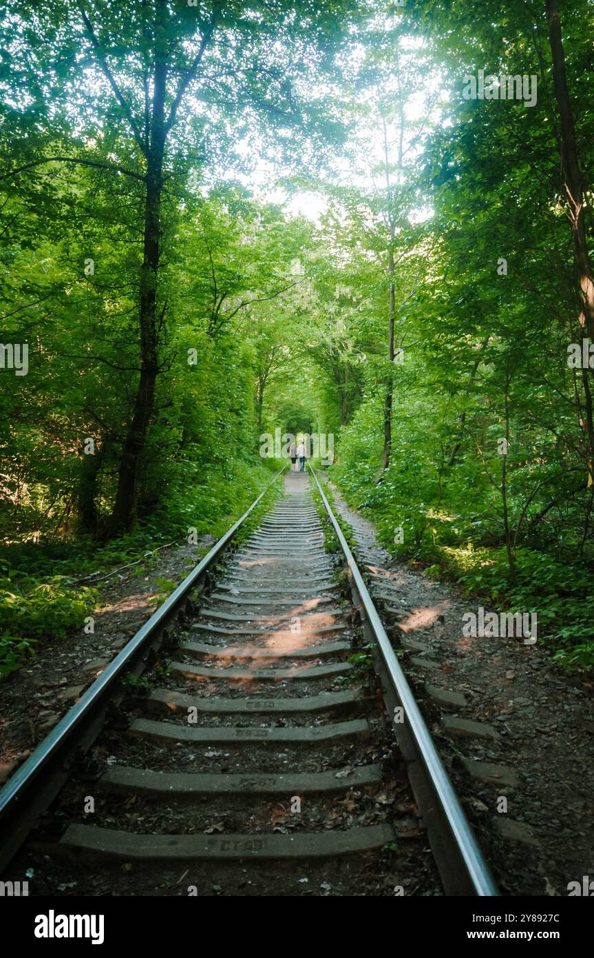 Enchanted Railway Through Lush Green Foliage Stock Photo - Alamy