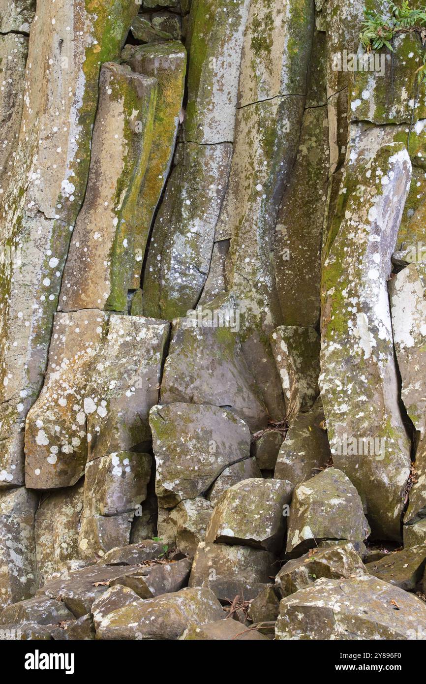 Basalt rock, columns, Rochester Fall, waterfall, Indian Ocean, island ...