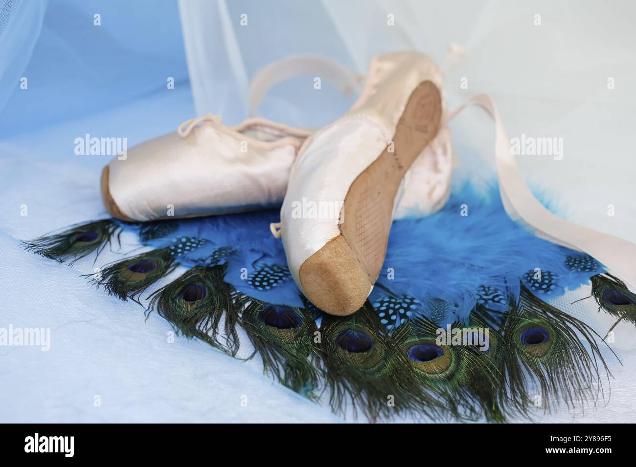 Ballet shoes, pointe shoes on peacock feathers, still life, dance shoes covered with satin in ...