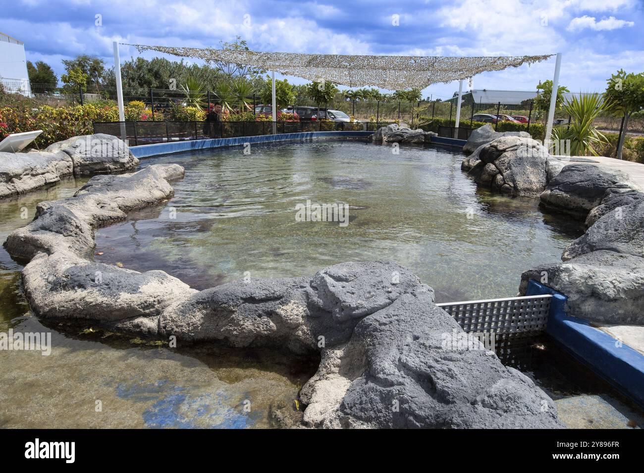 Exhibition room, aquarium, Odysseo Oceanarium Mauritius, show aquarium ...