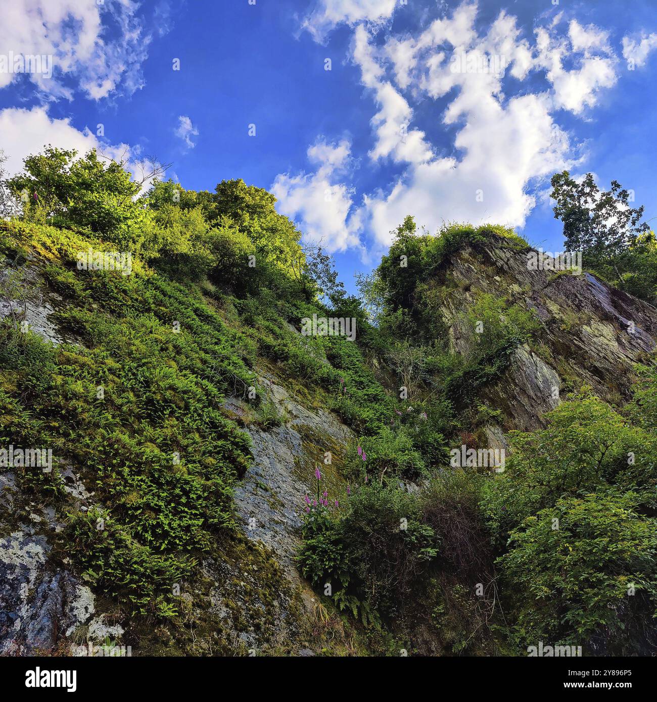 From bottom of cliff up to the sky hi-res stock photography and images ...