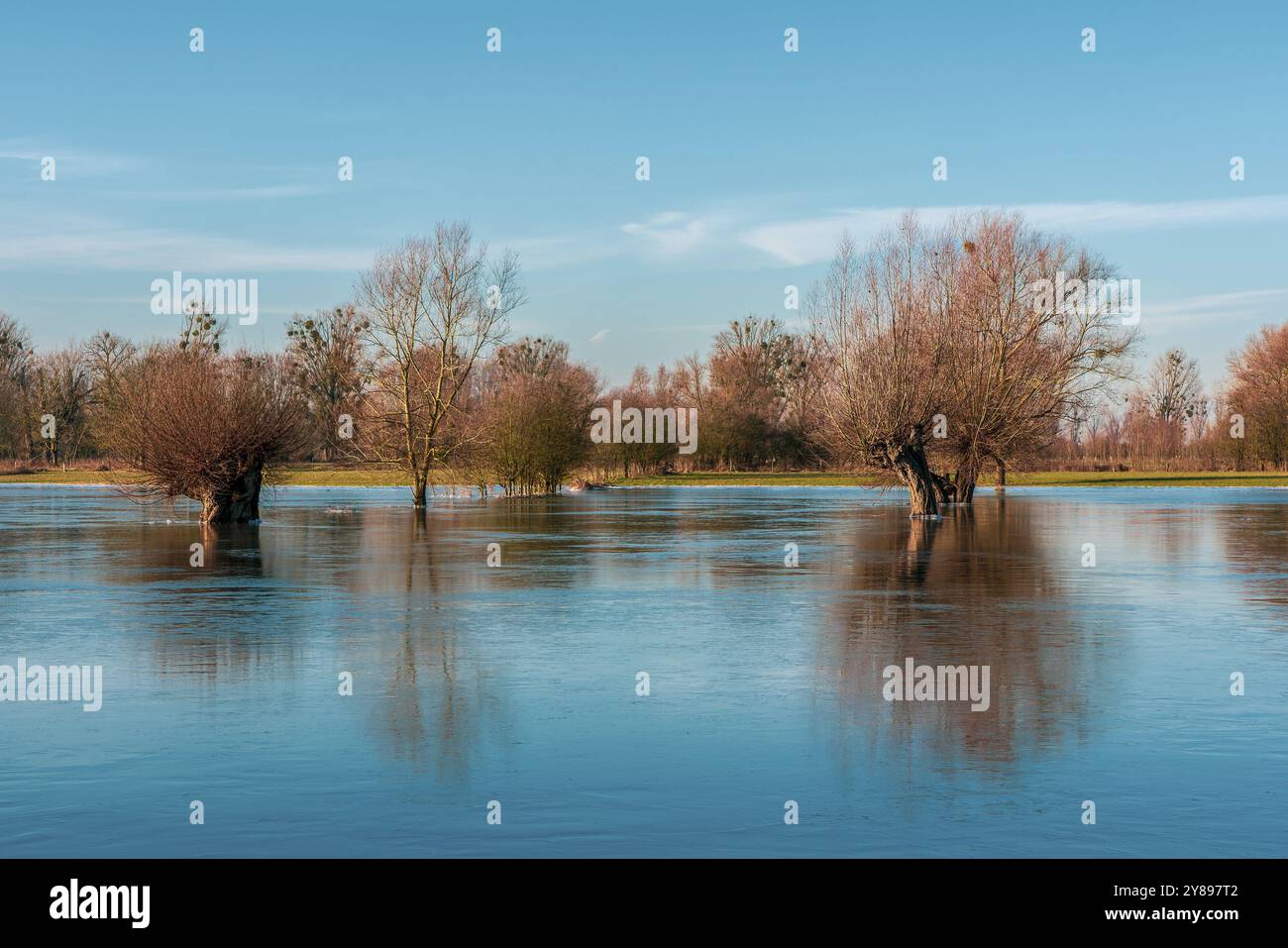 Flooded arable land hi-res stock photography and images - Alamy