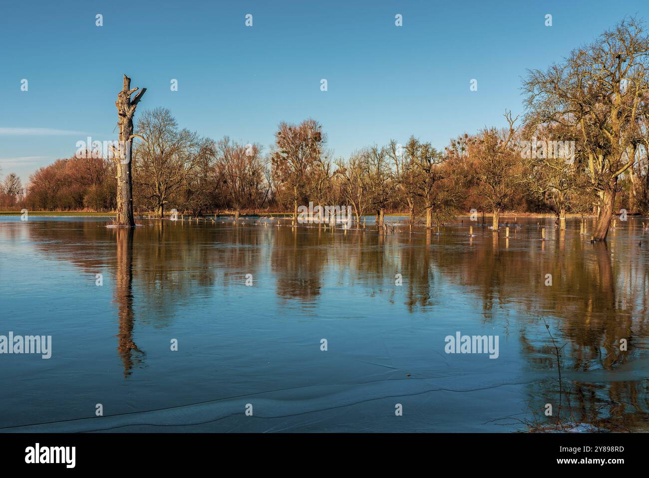 Flood flooded field germany german hi-res stock photography and images ...