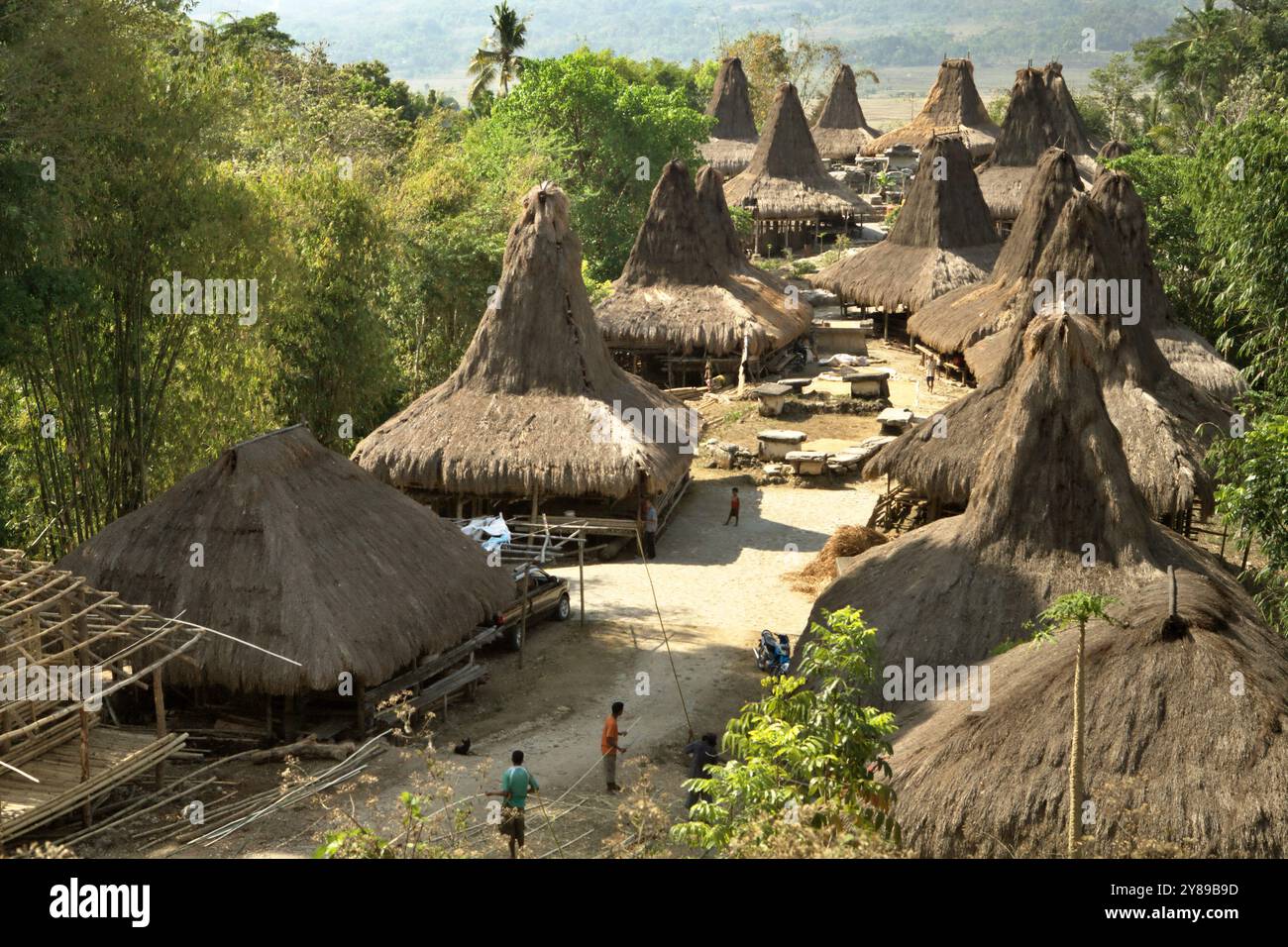 Sumbanese traditional houses in the traditional village of Praijing in ...