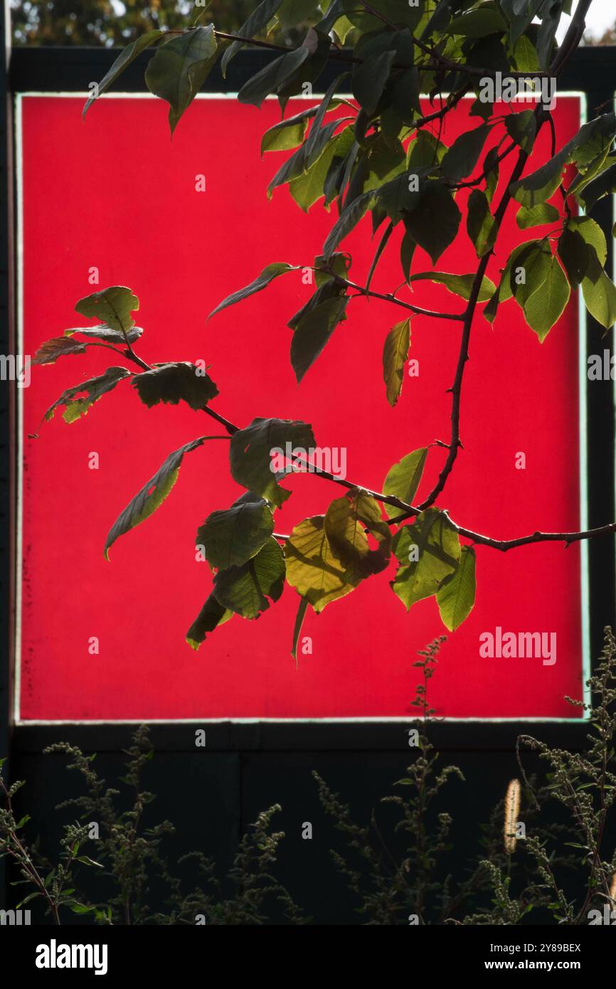 global warming and environmental change a new world global warming and ...