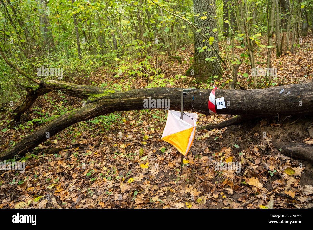 Orienteering. Control point Prism and electric composter for ...