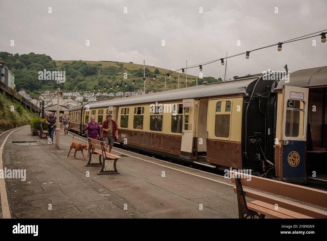 Dartmouth Steam Railway Devon Stock Photo - Alamy
