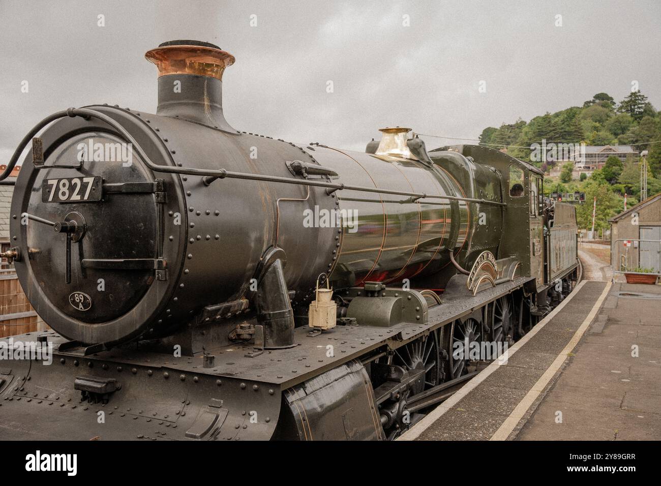 Dartmouth Steam Railway Devon Stock Photo - Alamy