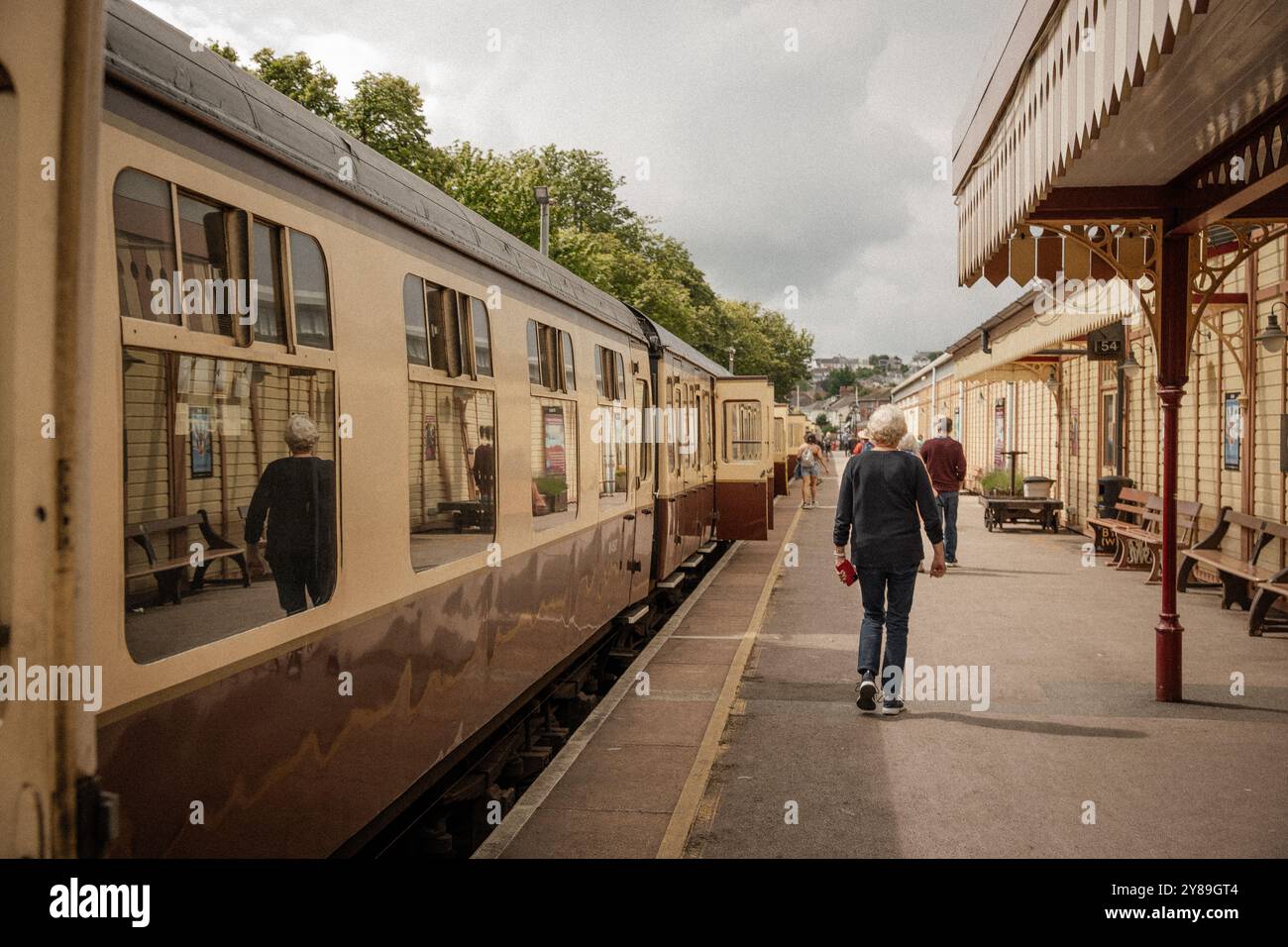 Dartmouth Steam Railway Devon Stock Photo - Alamy