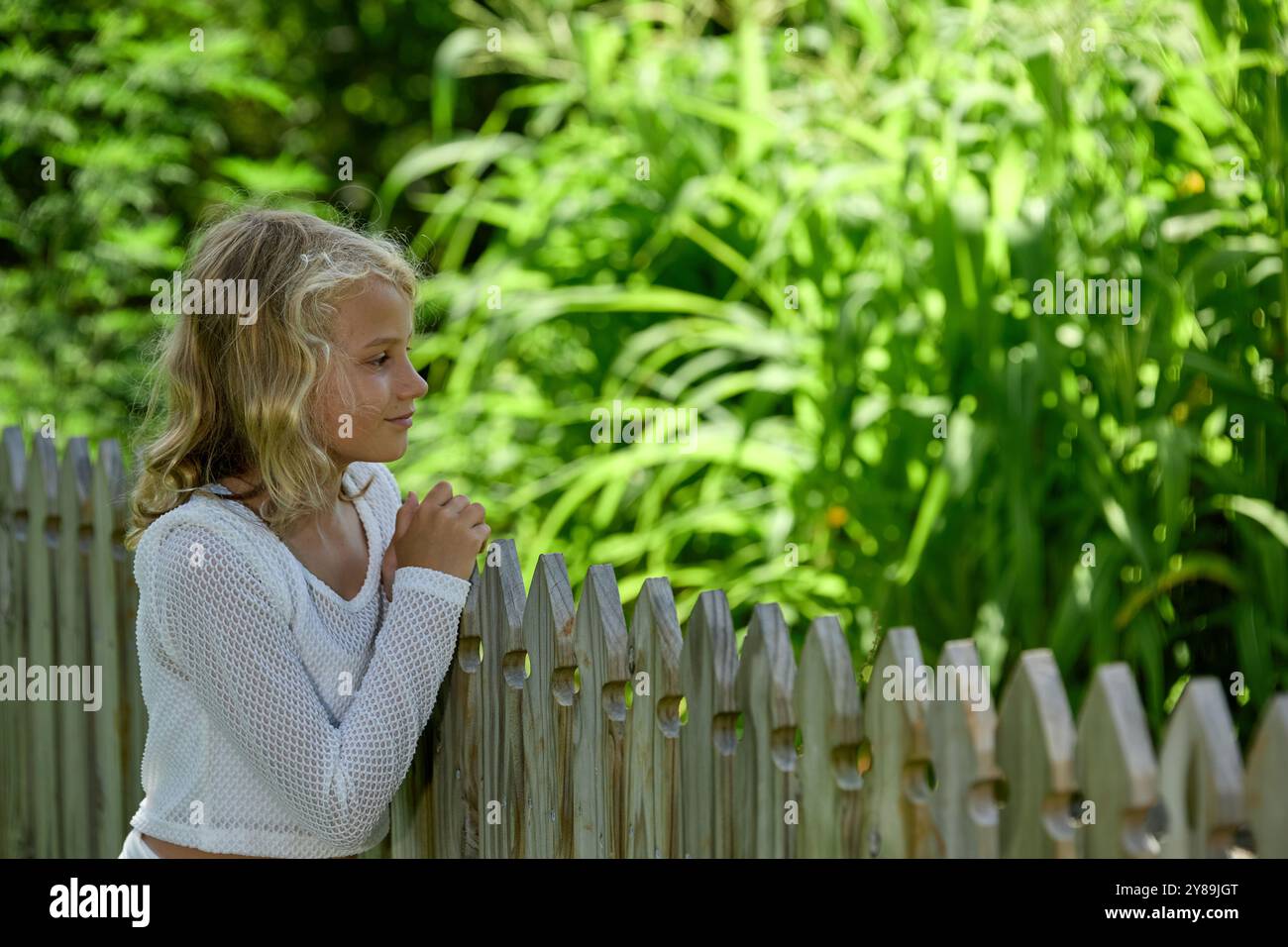 A girl in a white top leans on fence palings near a corn crop Stock ...