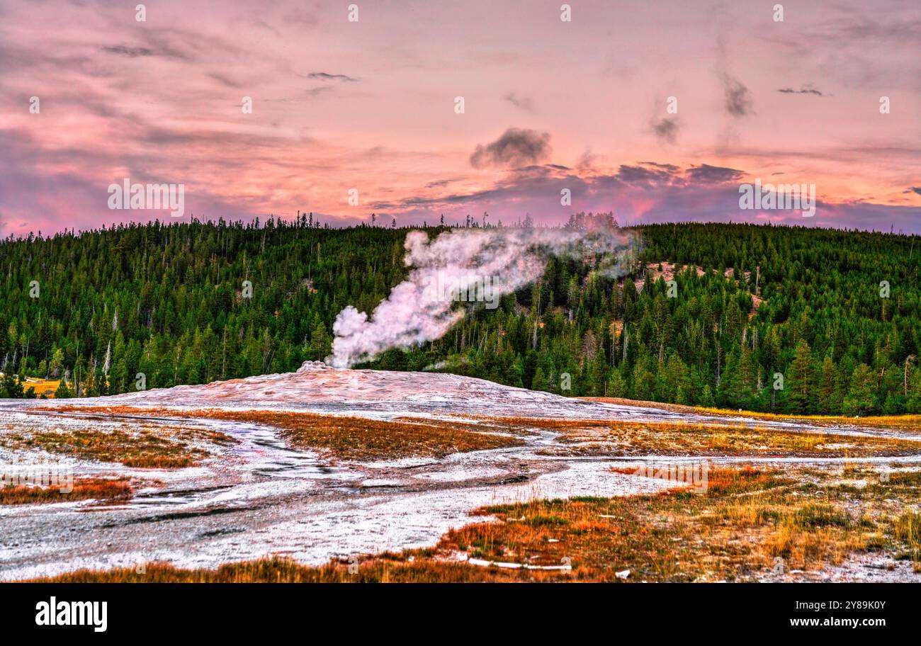 Old Faithful Geyser eruption at sunset in Yellowstone National Park ...