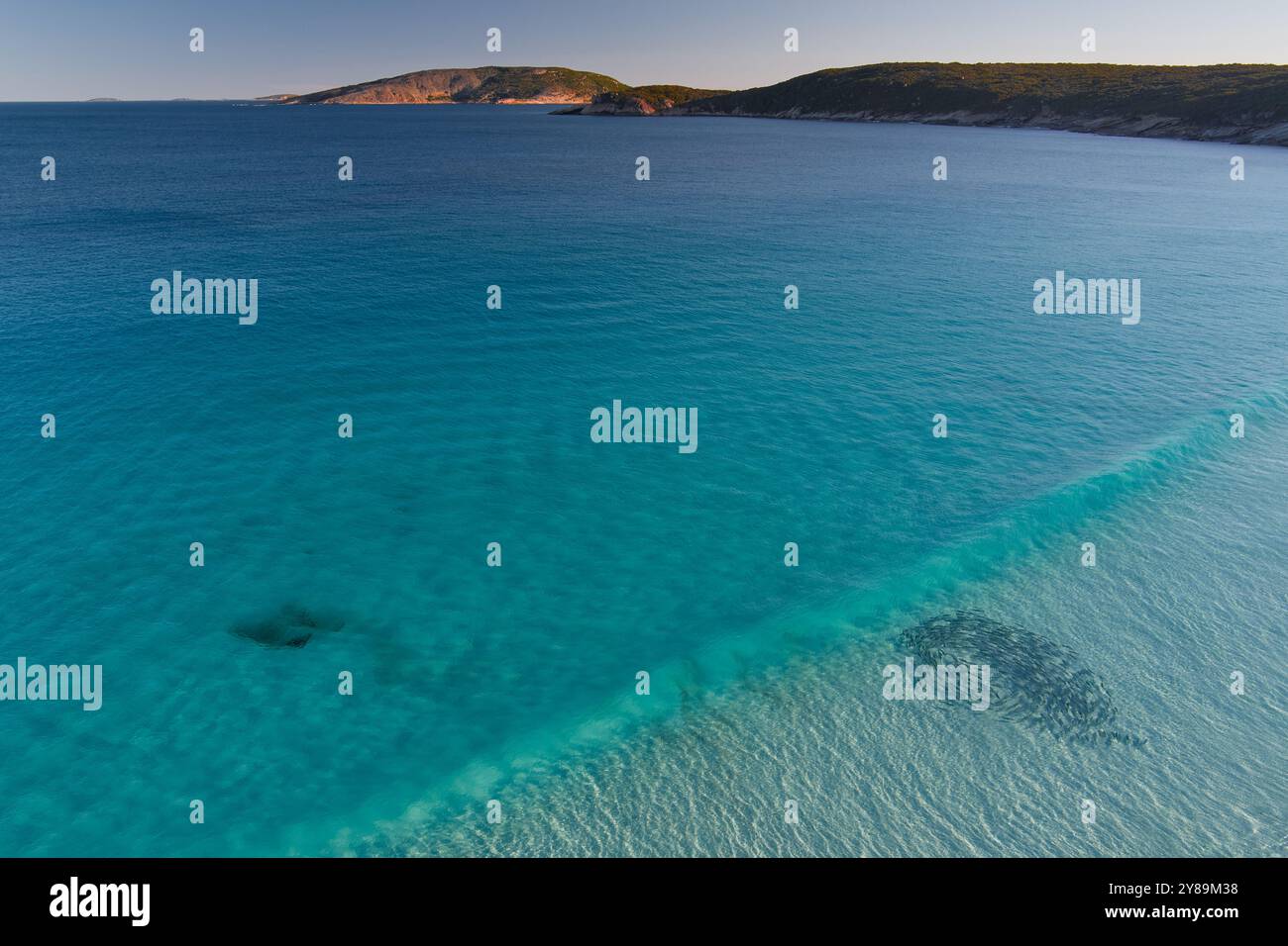 A bait ball of fish collects in the shallows Stock Photo - Alamy