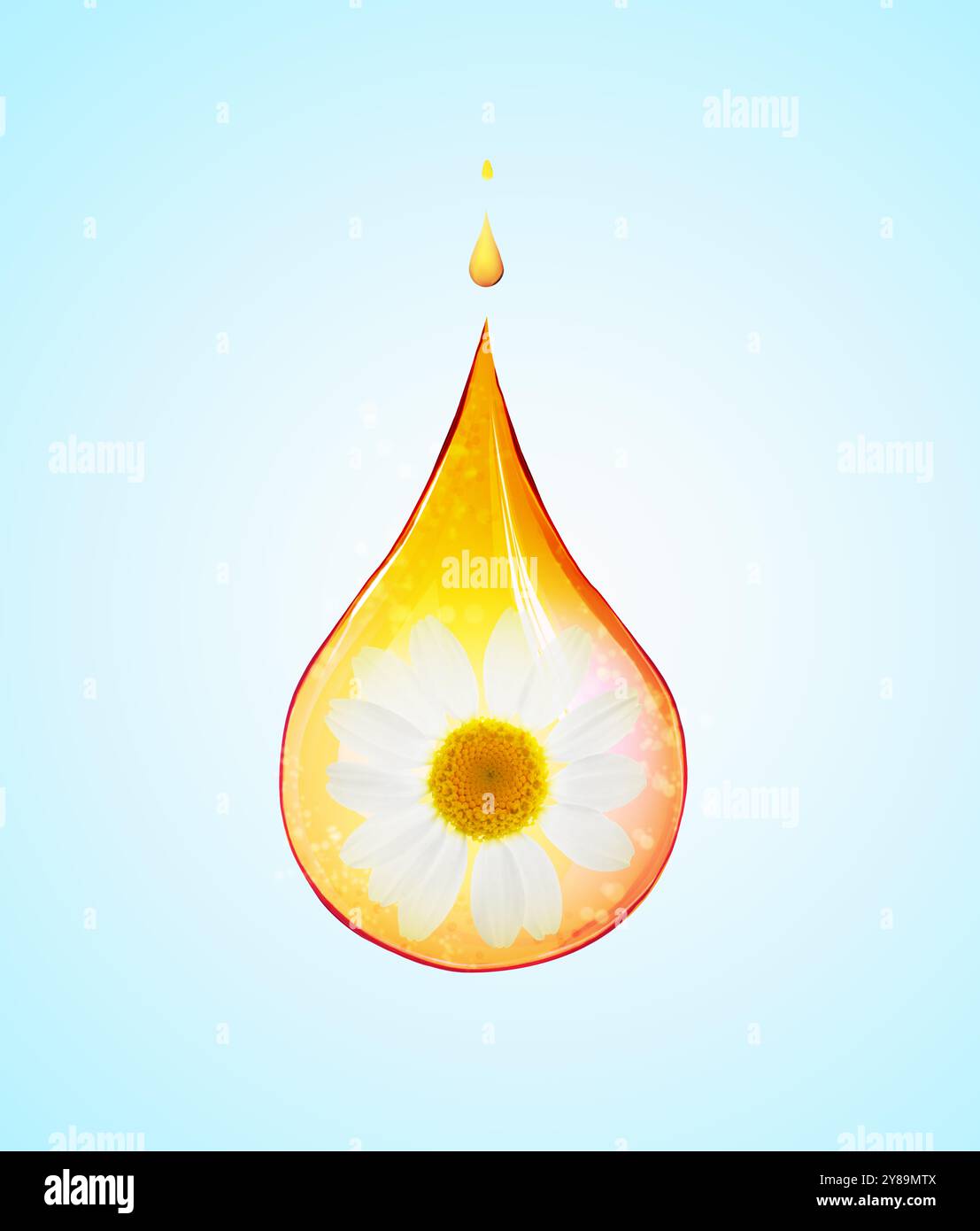 Chamomile oil drop with flower inside on light blue background Stock ...