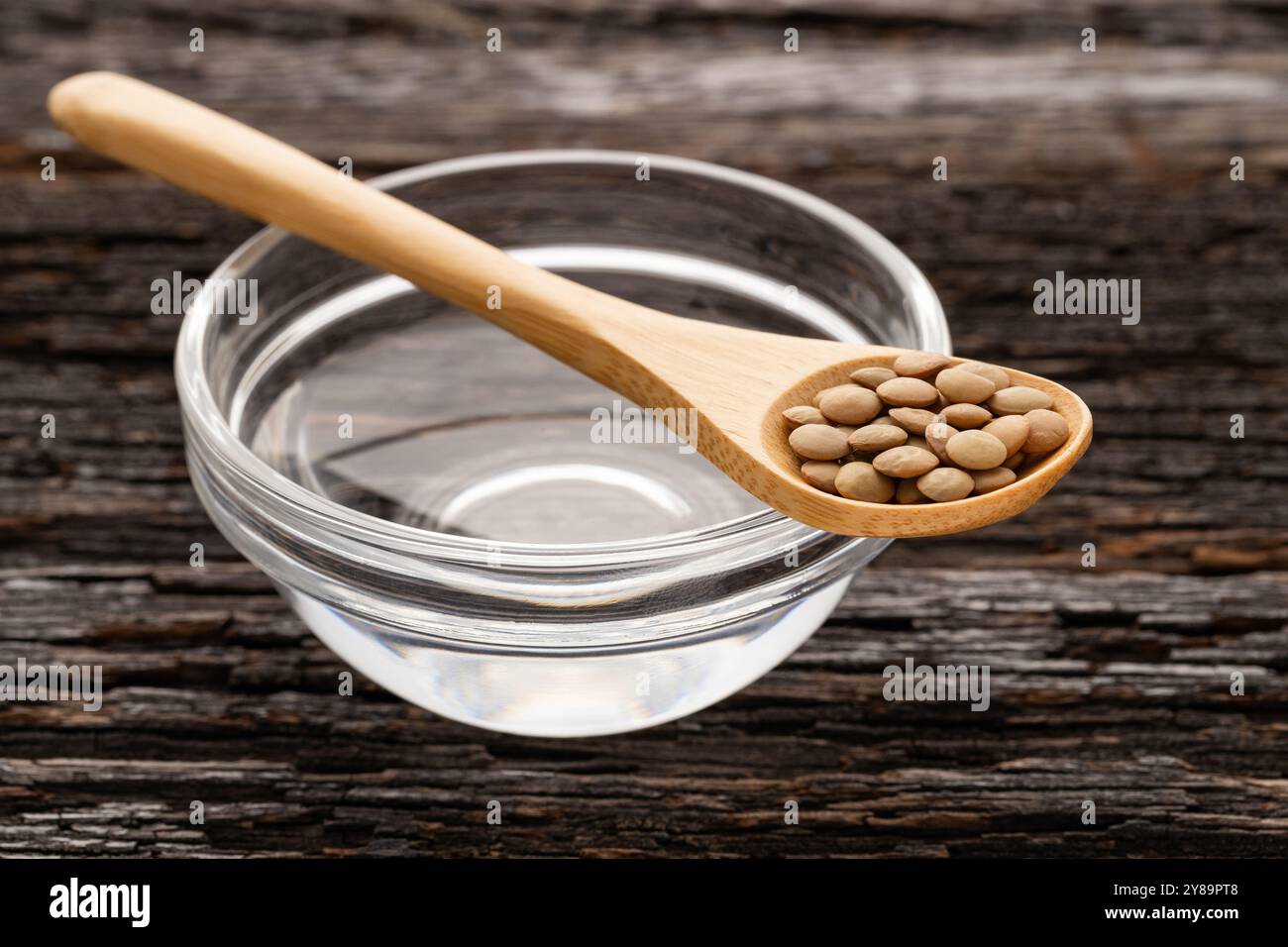 Water to soak brown lentils - Lens culinaris Stock Photo - Alamy
