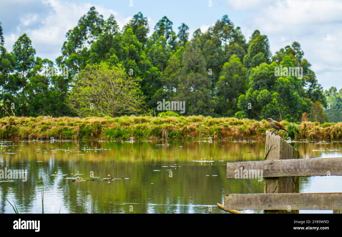 Fences and rustic buildings in the countryside Stock Photo - Alamy