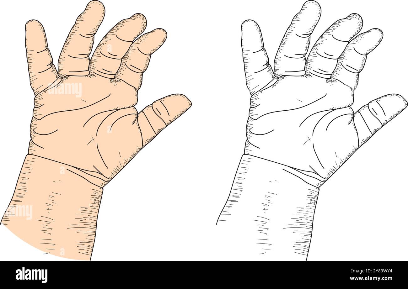 Baby Hand, Human Hands Sketch Drawing, Baby Hand Clipart, hand line art ...