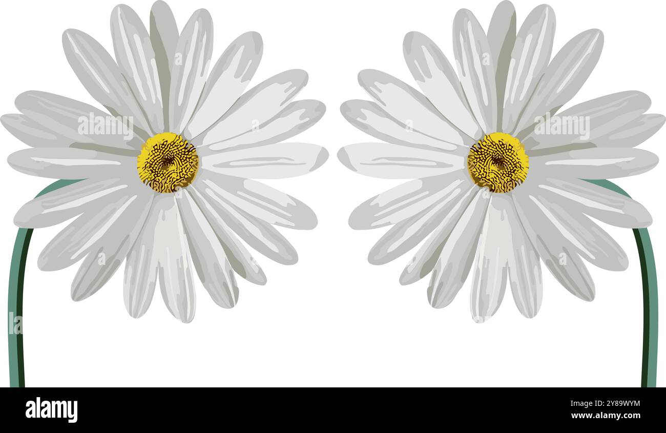 Botanical wall art vector hi-res stock photography and images - Alamy